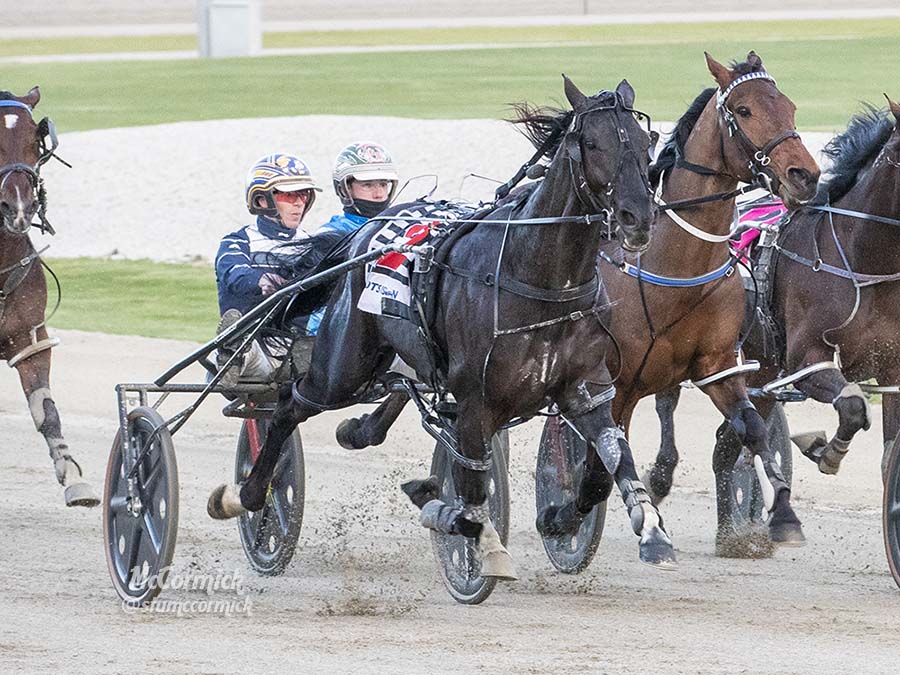 VSS 3YOs: Emma stuns with new Victorian training record - The Trots